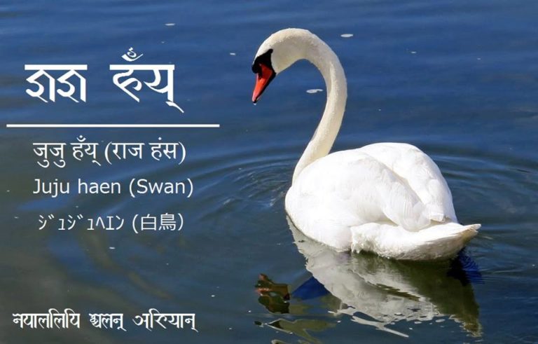 Nepalbhasa words in pictures – 1 – Nepal Lipi